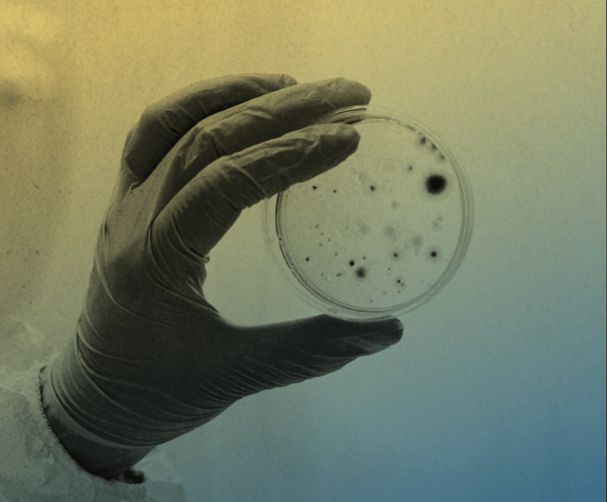 Latest – Emergent BioSolutions